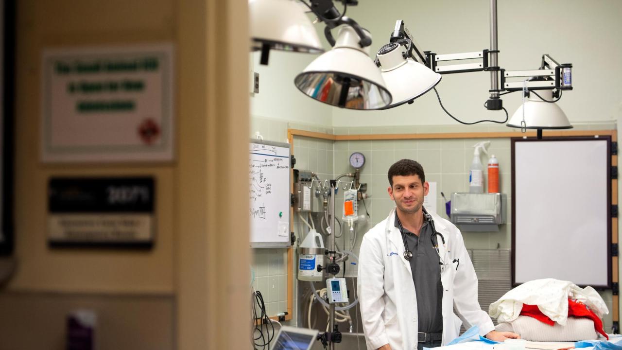 Aggie Hero: Steven Epstein | UC Davis Leadership